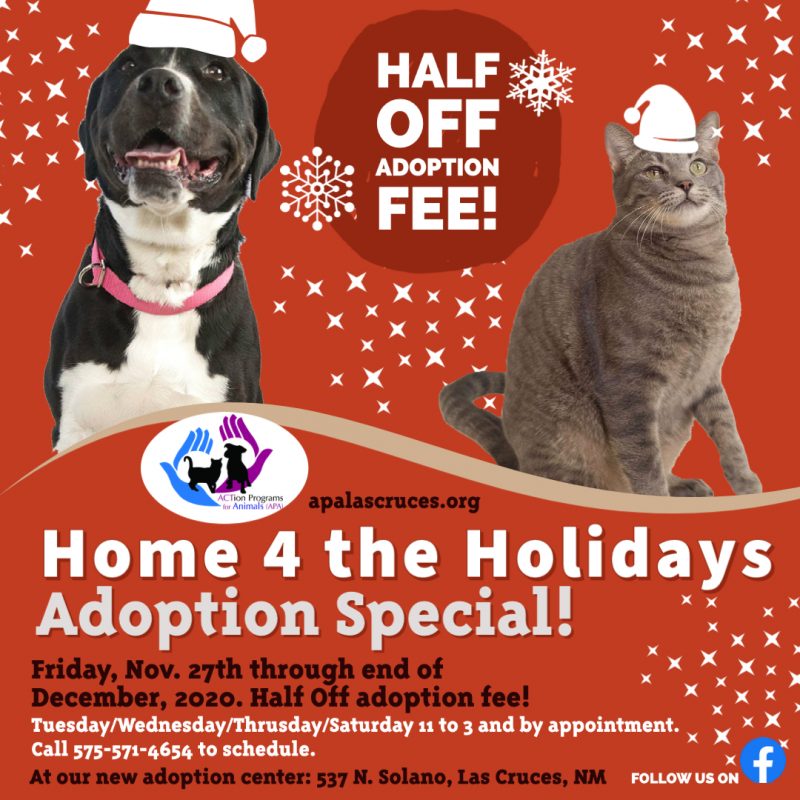 Home for the Holidays Adoption Special! - APA Las Cruces